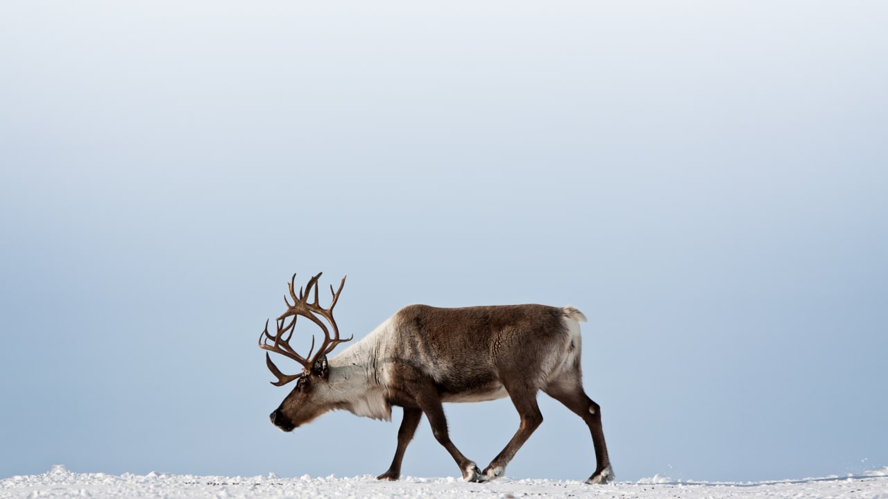 Legal Reception Service | Trained Receptionists | LEX Reception