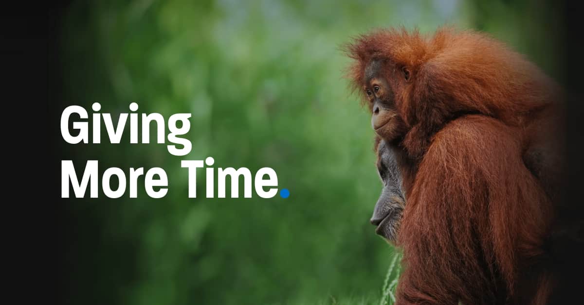 Giving more time | LEX Reception